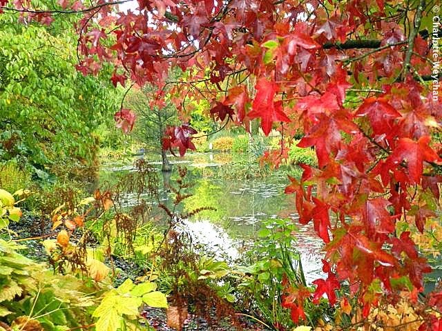 Britain's best October gardens - where to see wonderful autumn colours ...