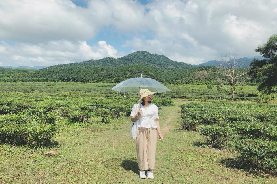 Đam mê du lịch: Những đồi chè được các bạn trẻ check in nhiều nhất hiện nay
