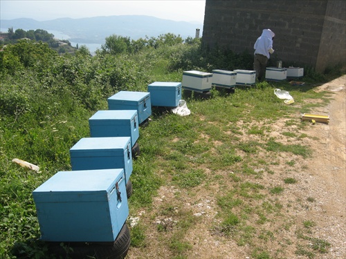 Κυψελη: Μαΐου 2012