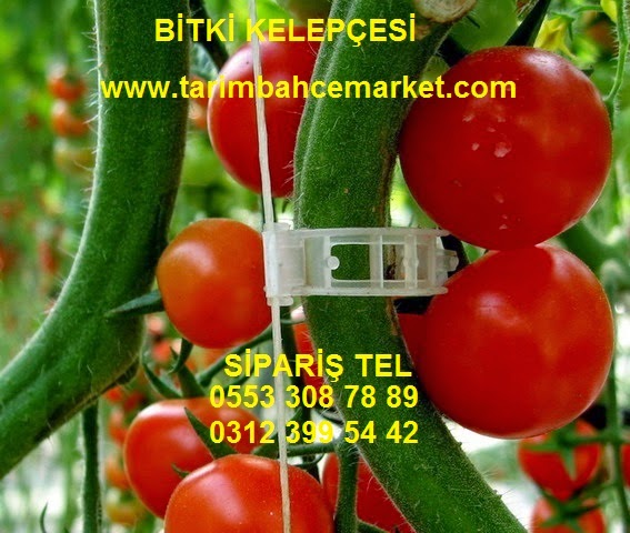 tarimbahcemarket: Bitki klipsi,bitki klipsleri,domates klipsi,bitki ...