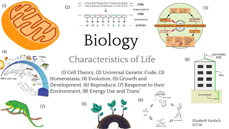 Biology '16-'17: Characteristics of Life
