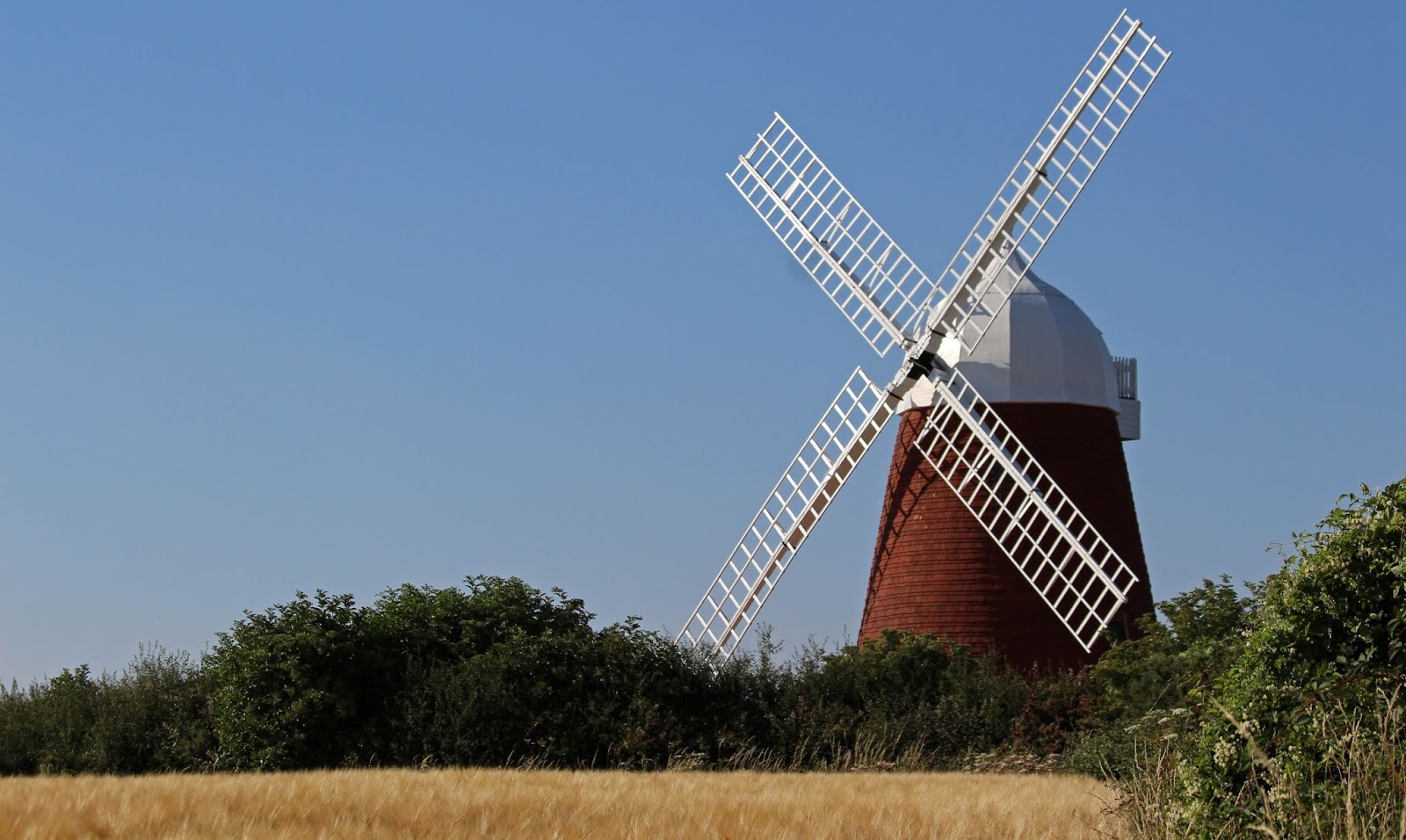 sconzani: Halnaker Windmill