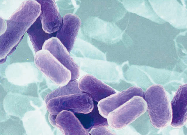 Foods and Surrounding : Food Microbiology