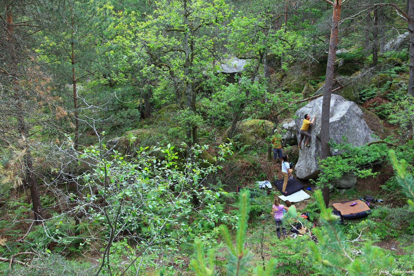 Bleau-zone never stop exploring ~ FontaineBleau Passion