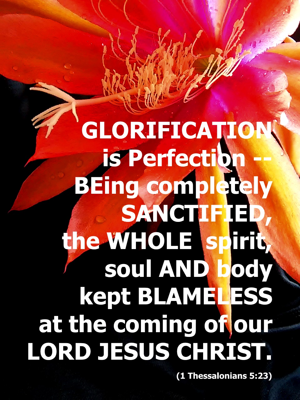 r L n -- really LOVE now! : 2018