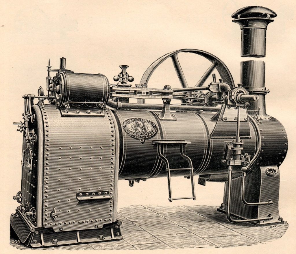 Interesting facts: Water pressure in onion cell