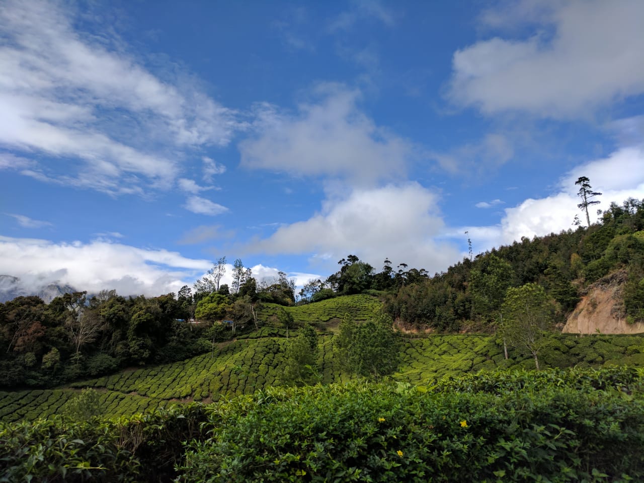Beauty of Munnar, Kerala