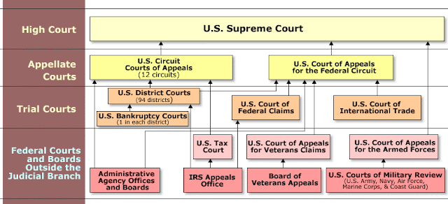 AP Government: Federal Court System