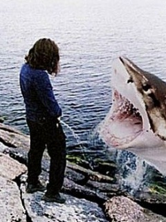 Outback Snack Australia: Sharks on the Great Barrier Reef