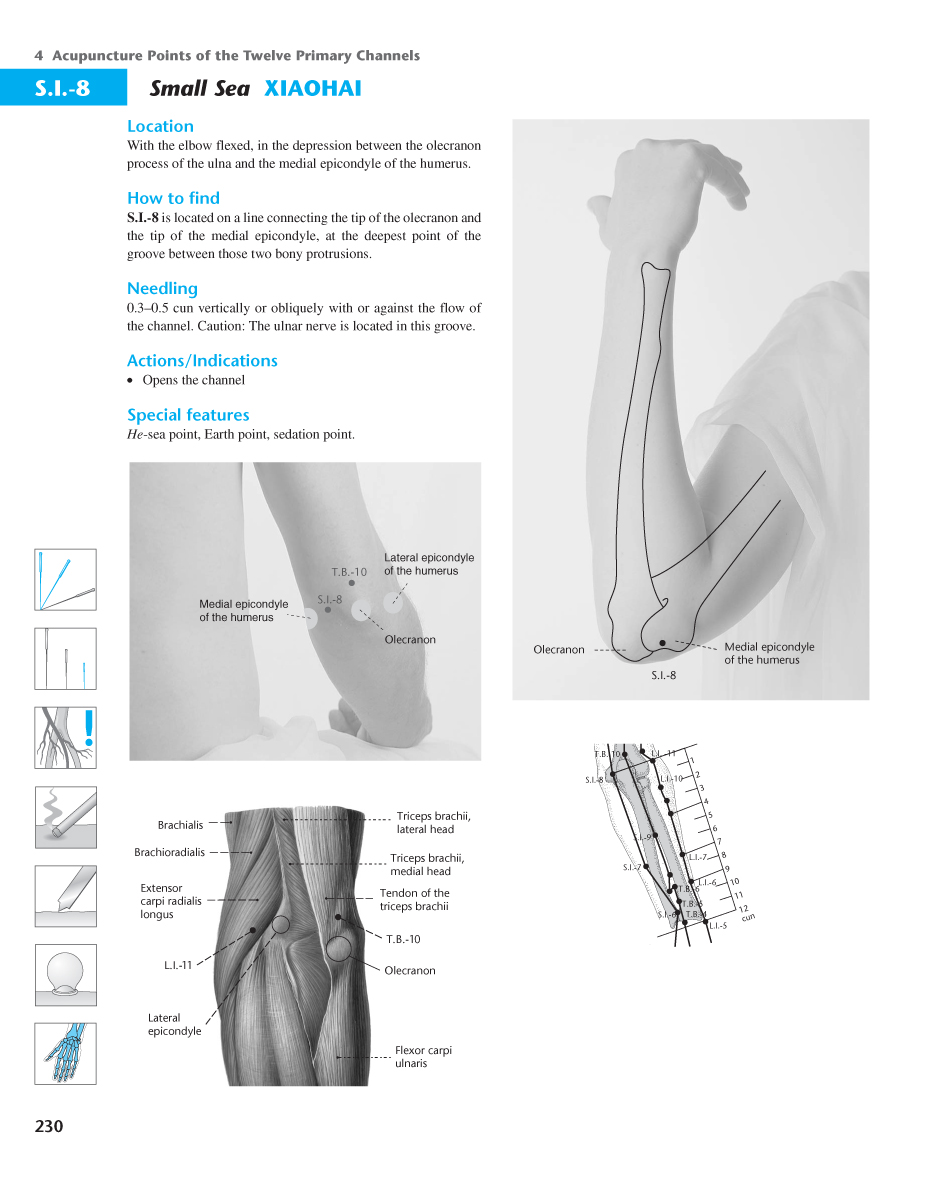 Acupuncture Masters: Acupuncture Points Database - Small Intestine Channel