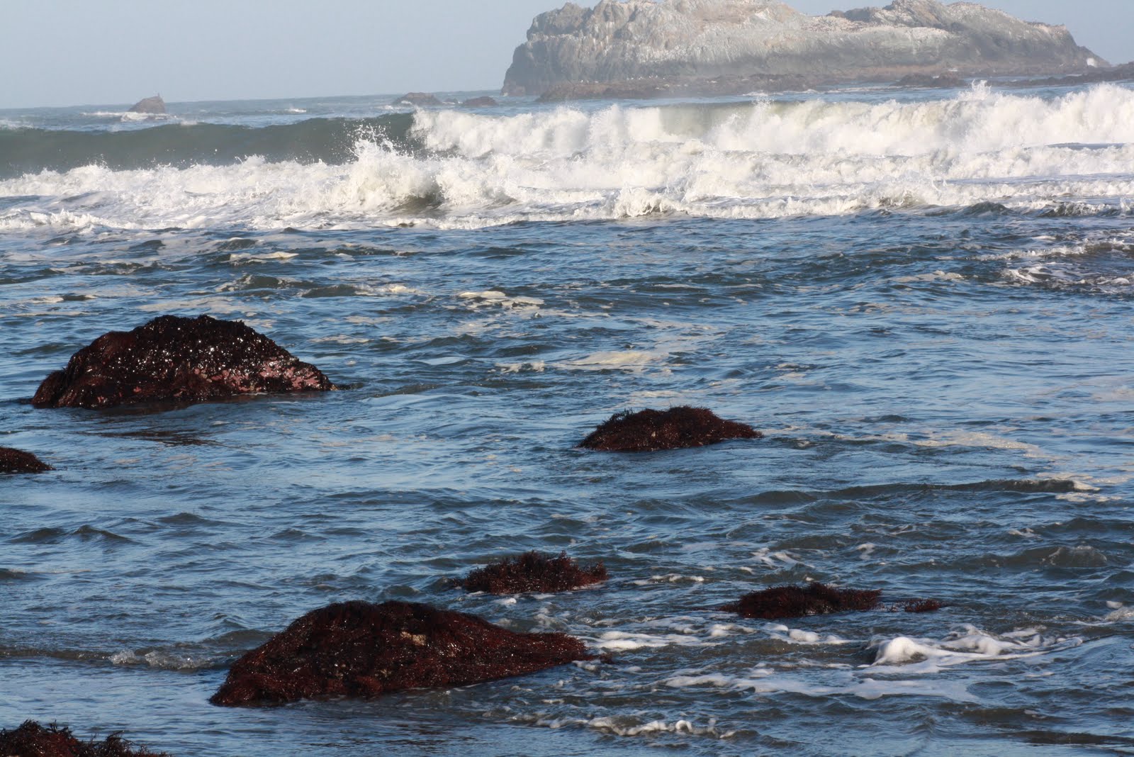 ozma of odds: ...sea ruffles