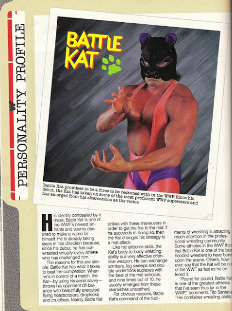 Bresslinz memories I: WWF Magazine, gennaio-febbraio 1991