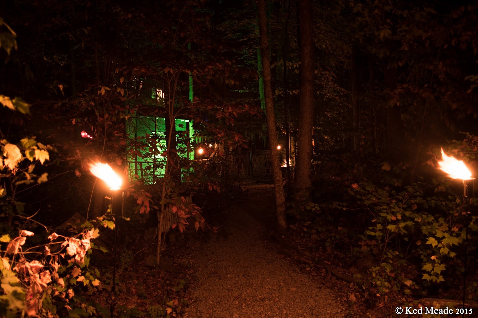 Something wicKED this way comes....: Taking a Wicked Walk Through The ...