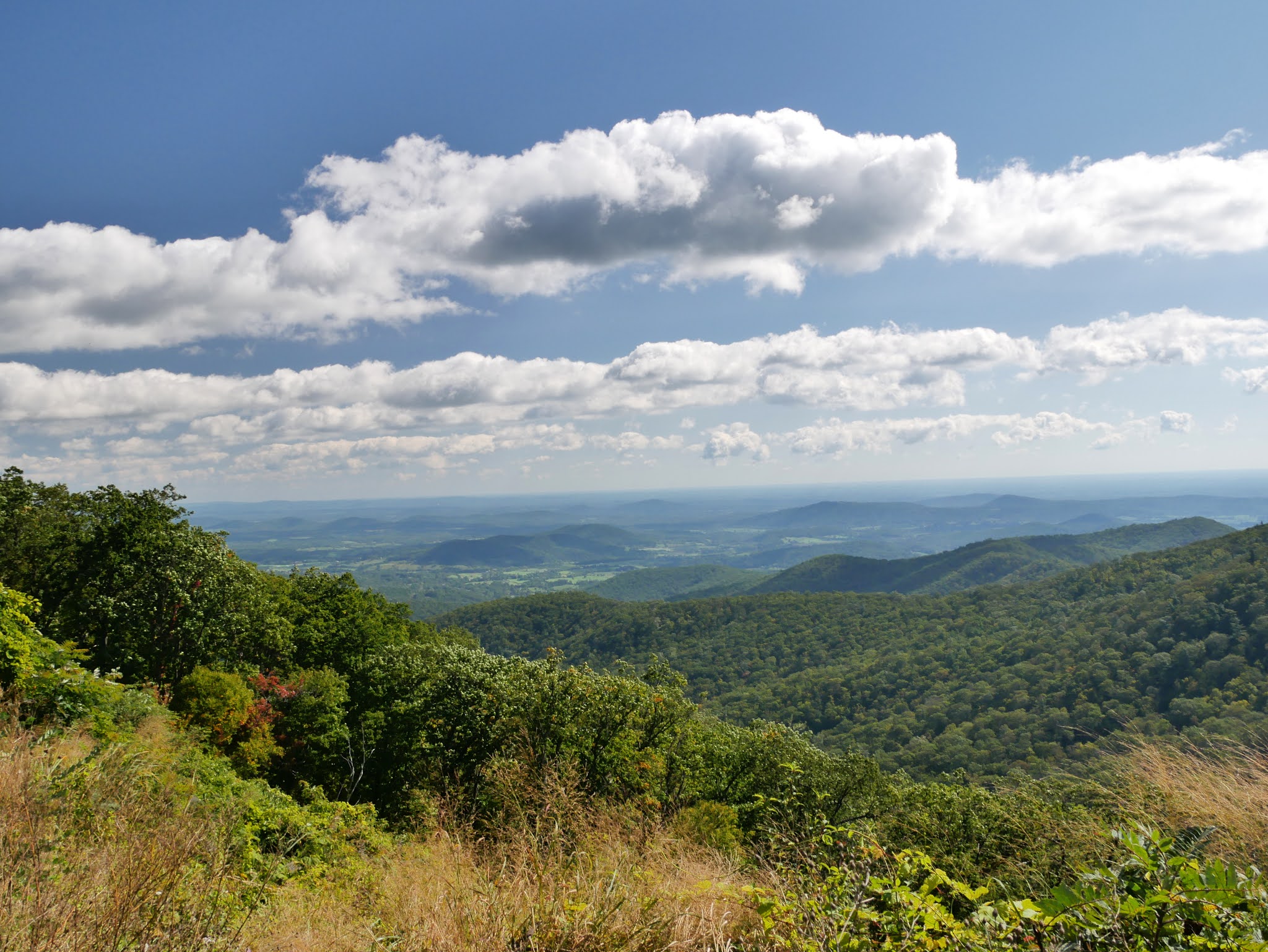 American Travel Journal: Swift Run Gap to Thornton Gap - Skyline Drive ...