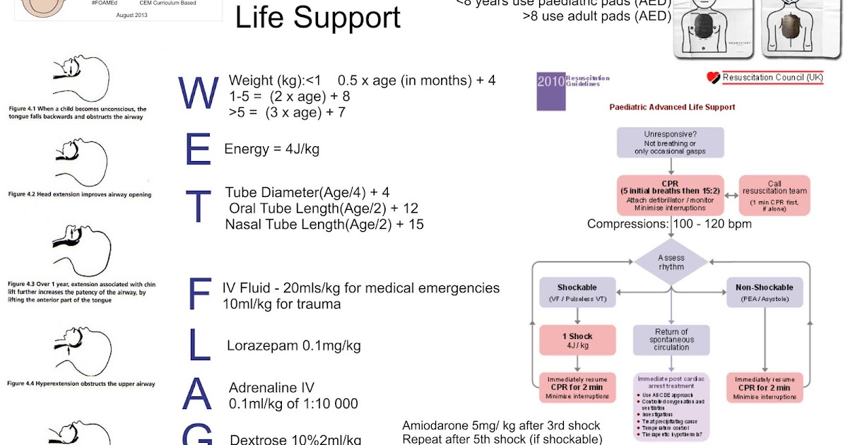 Paediatric Emergency Medicine: Paediatric Resuscitation