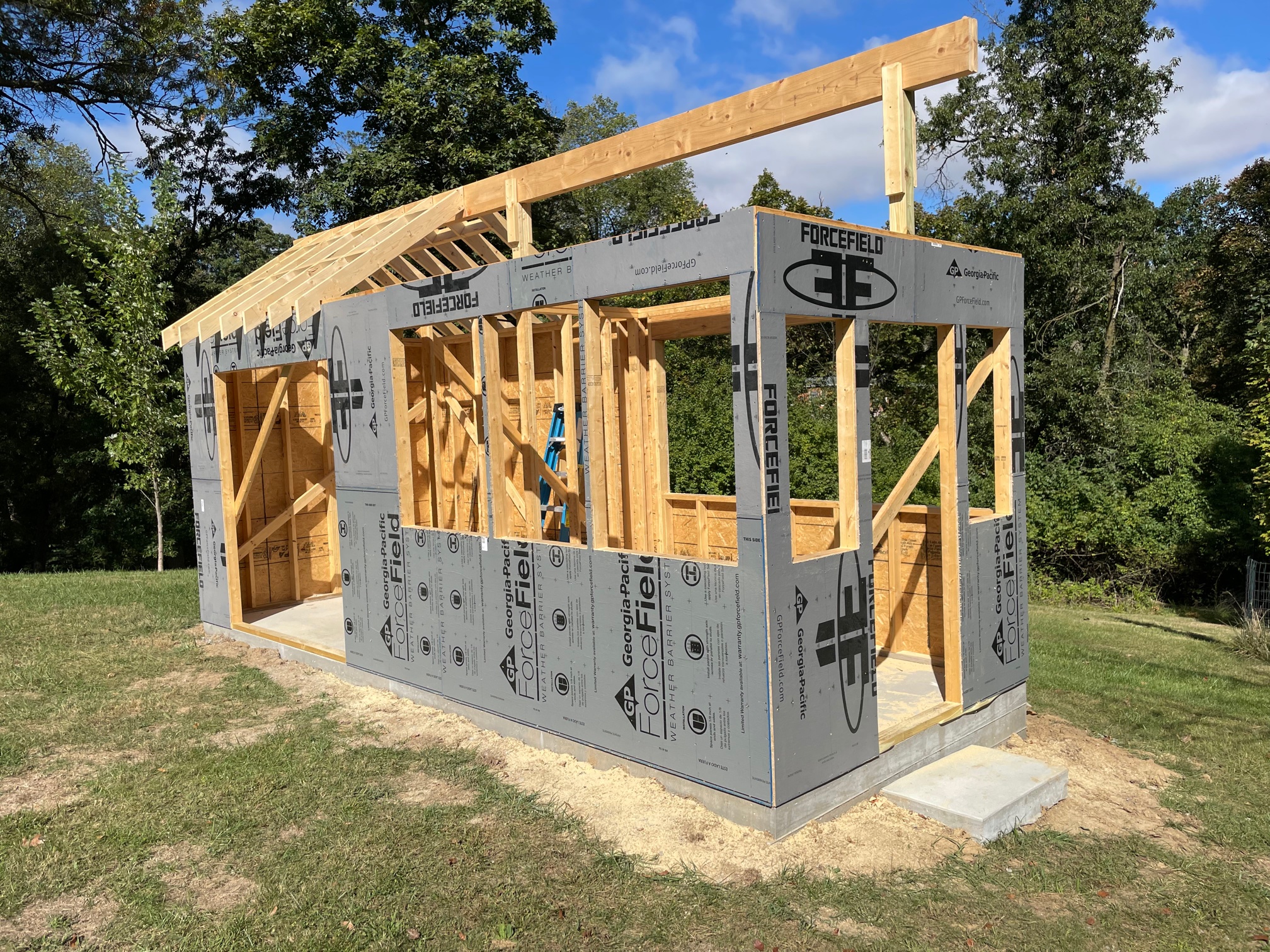 Seething Over Sheathing