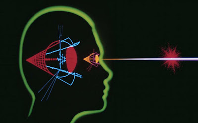 La percepción. Teorías de la visión.: ¿Qué entendemos por percepción ...