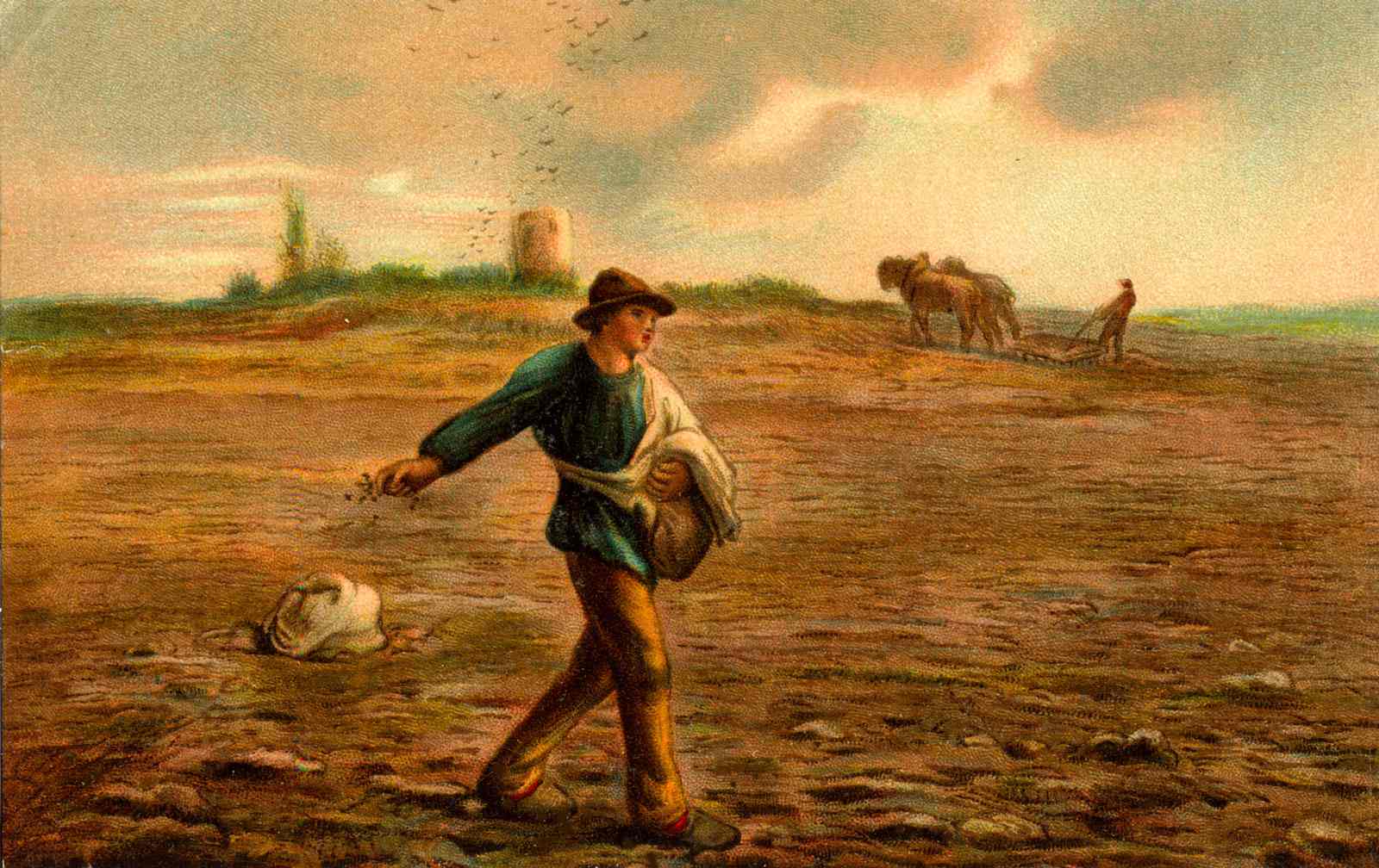 Ramblings of a country pastor: The Frustrating Art of Sowing Seed