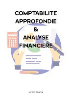 LES PRINCIPES COMPTABLES SYSCOA REVISE