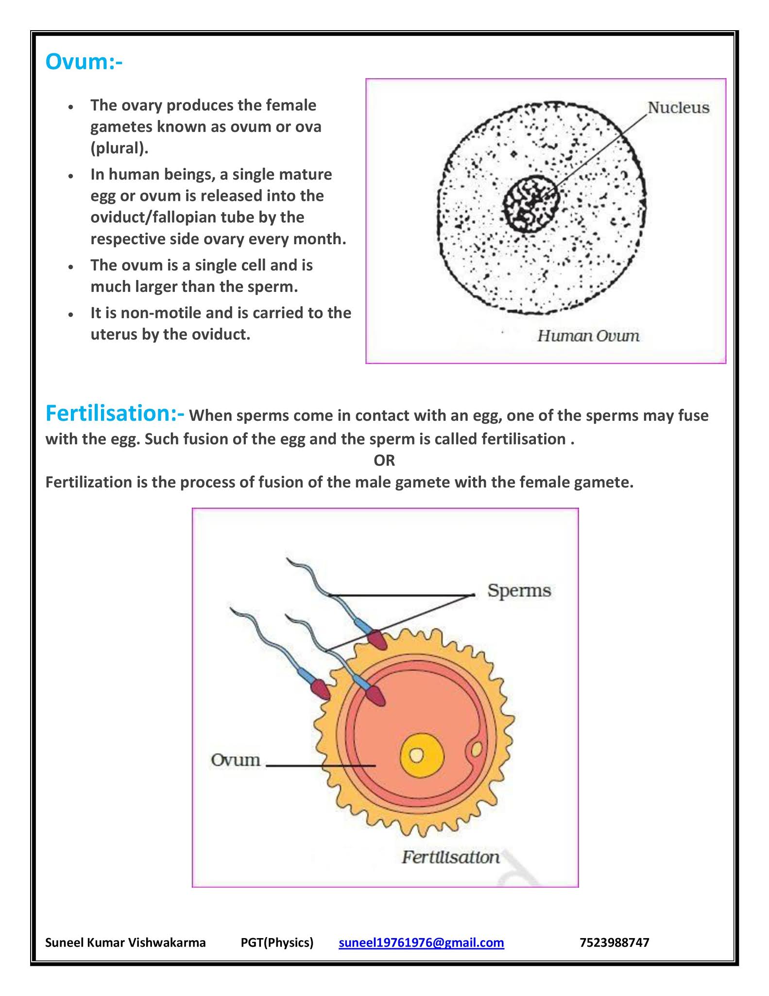 Chapter 9- Reproduction in Animals , Class 8 -Science