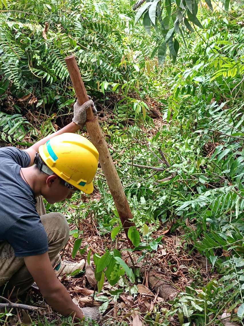 Forest Restoration EN: Forest Restoration Project SDGs Together in Giam ...