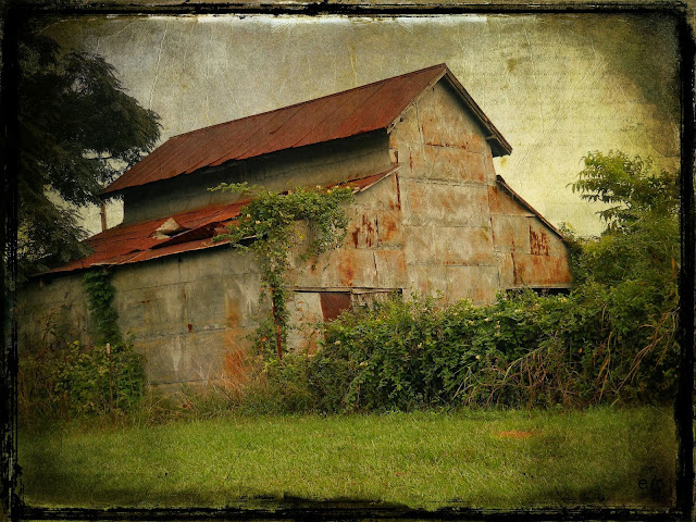 the last door down the hall: Digital Photograph - The Rusty Roof Barn