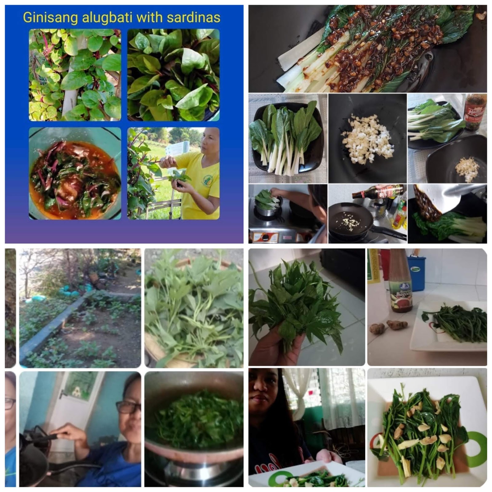 Halimbawa Ng Halamang Dahon - mga paksa