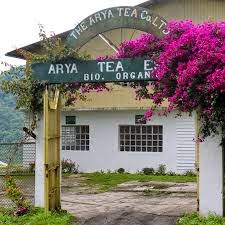 Arya Tea Estate - SEARCH DARJEELING : HISTORY , CULTURE ,PEOPLE ,TRAVEL ...