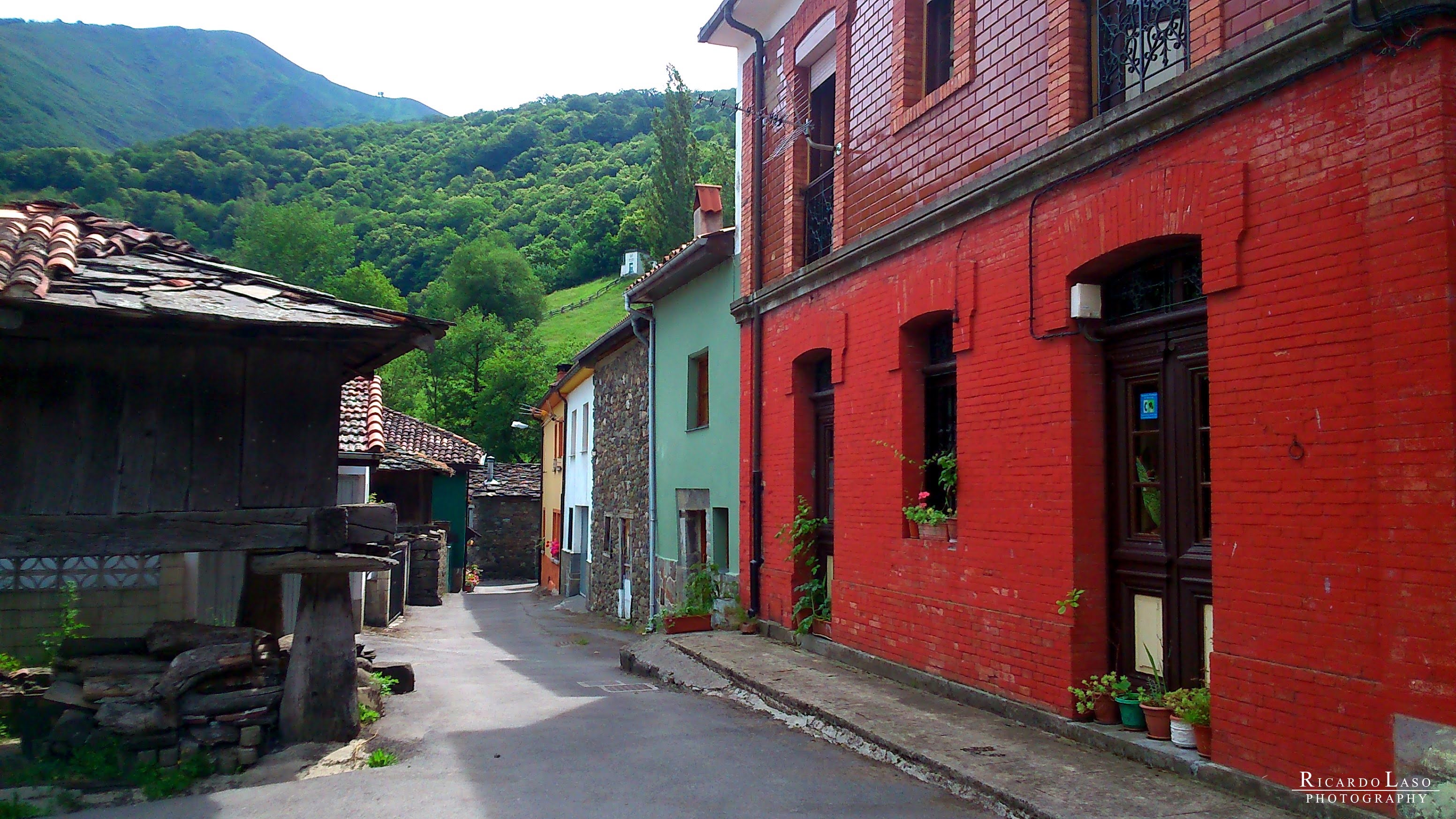 ASTURIAS: ALLER / CASOMERA