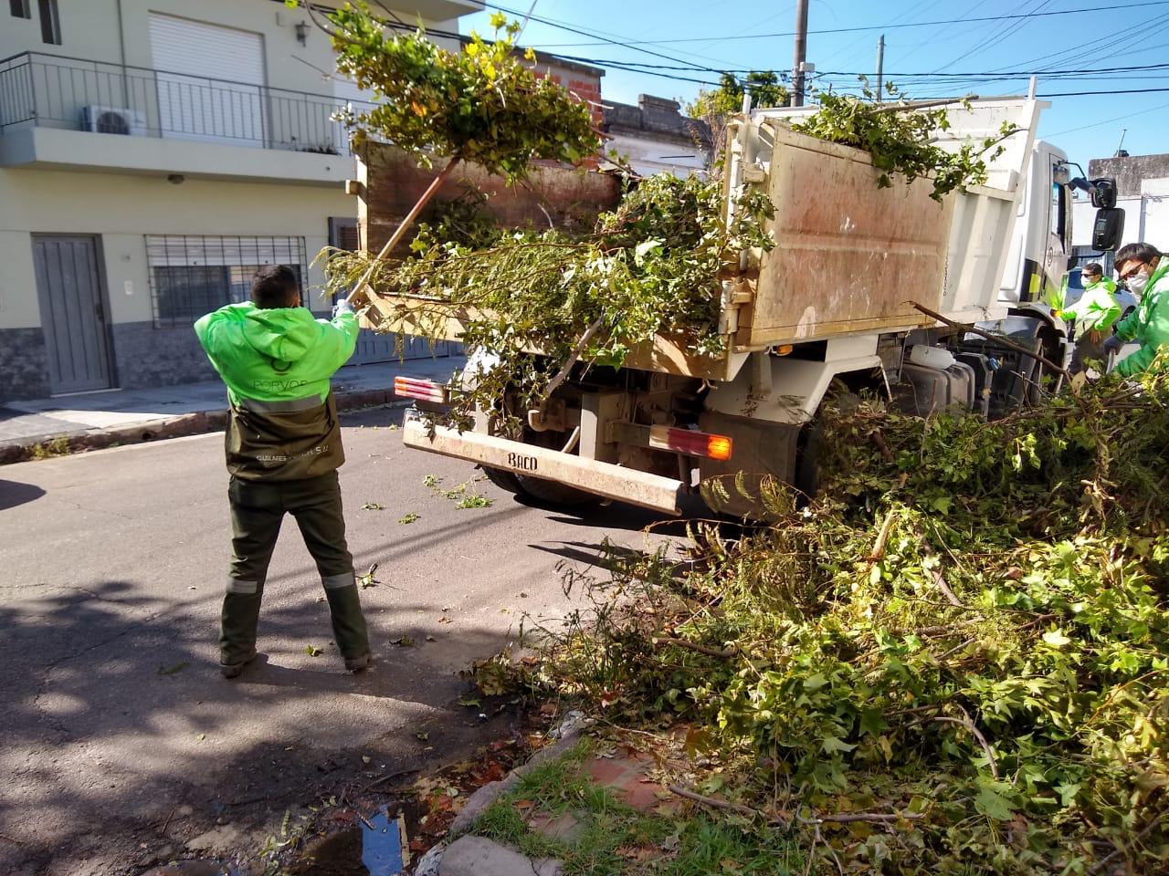 Trabajos de desmalezado, zanjeo, desagües y limpieza de terrenos ...