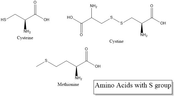 Amino acids structures| 9 essential amino acids formula