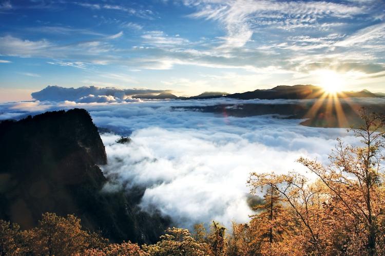 Ali Mountain (Alishan) in Taiwan ~ World Tourism News