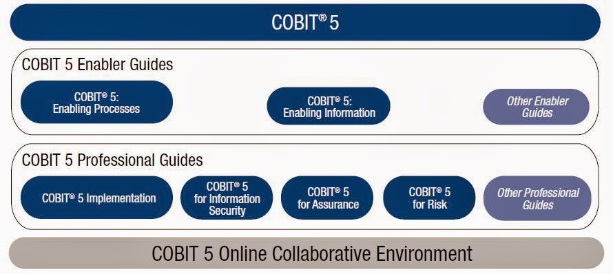 Knowledge: IT Governance - COBIT 5 version - S1E5 - Principle 3 ...