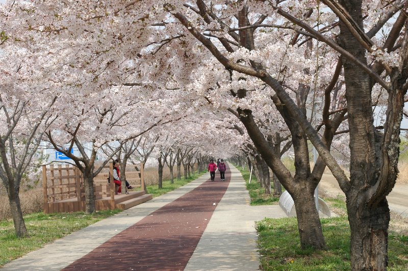 Ini Blog Bui: Musim Yang Sesuai Ke Korea