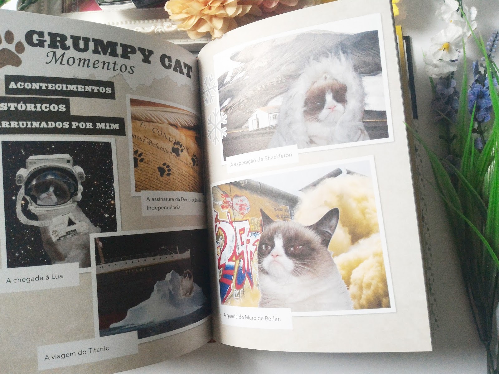 [Resenha #1145] Grumpy Cat - Um Livro Azedo @belasletras / Rotina Agridoce