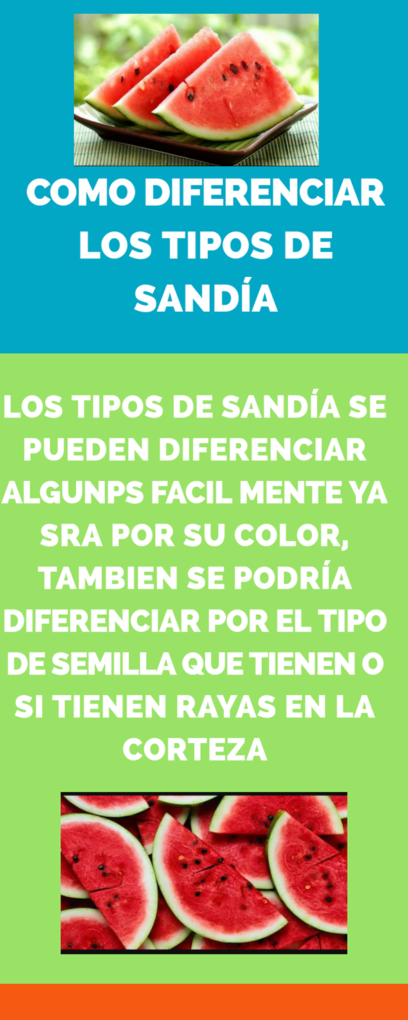 Tipos De Sandía