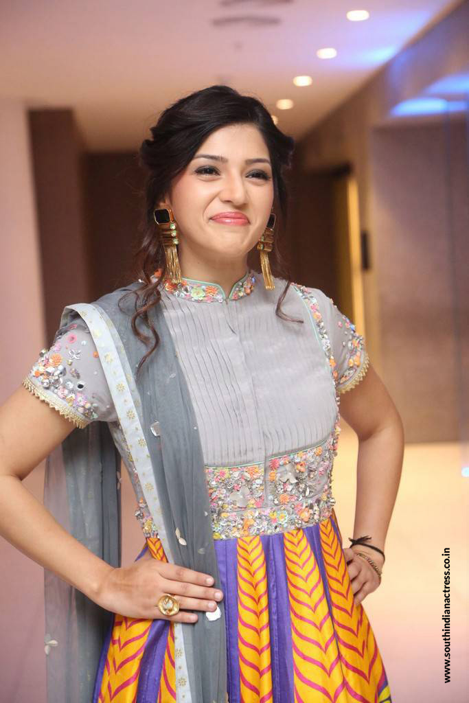 Mehreen Pirzada at Raja At The Great Success Meet - South Indian Actress