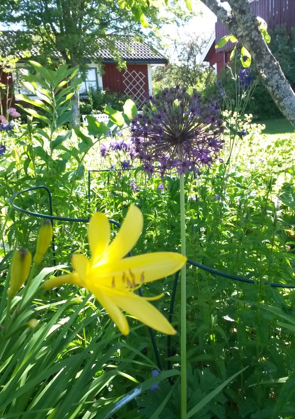 Den lilla blå byrån: juli 2017