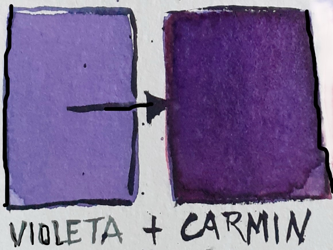 MACUARELA: EL VIOLETA DE COBALTO
