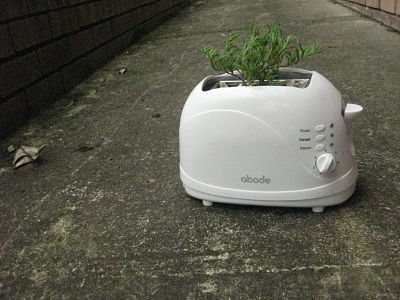 CraftyRie: The day a toaster met a plant...