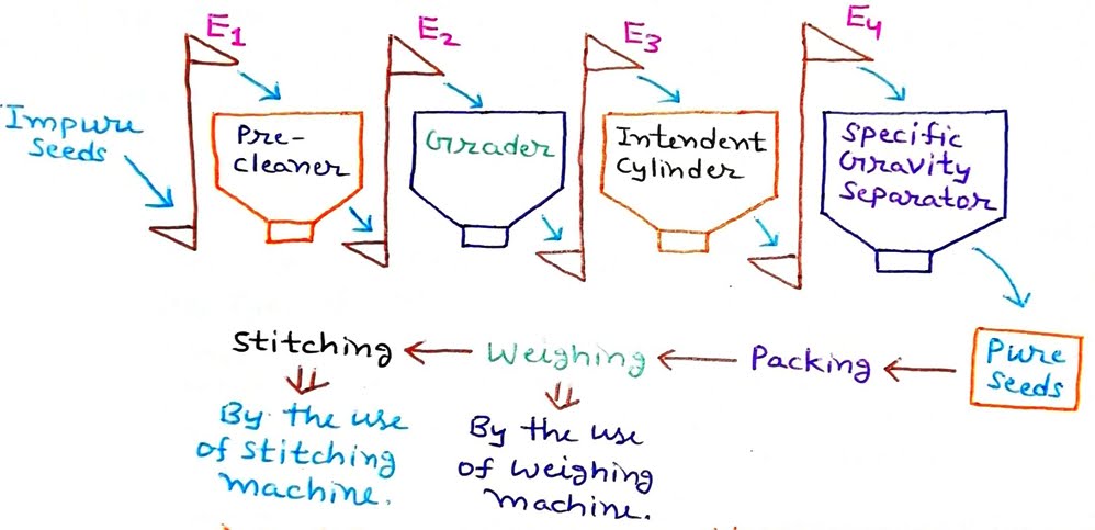 Seed Processing and Their Steps