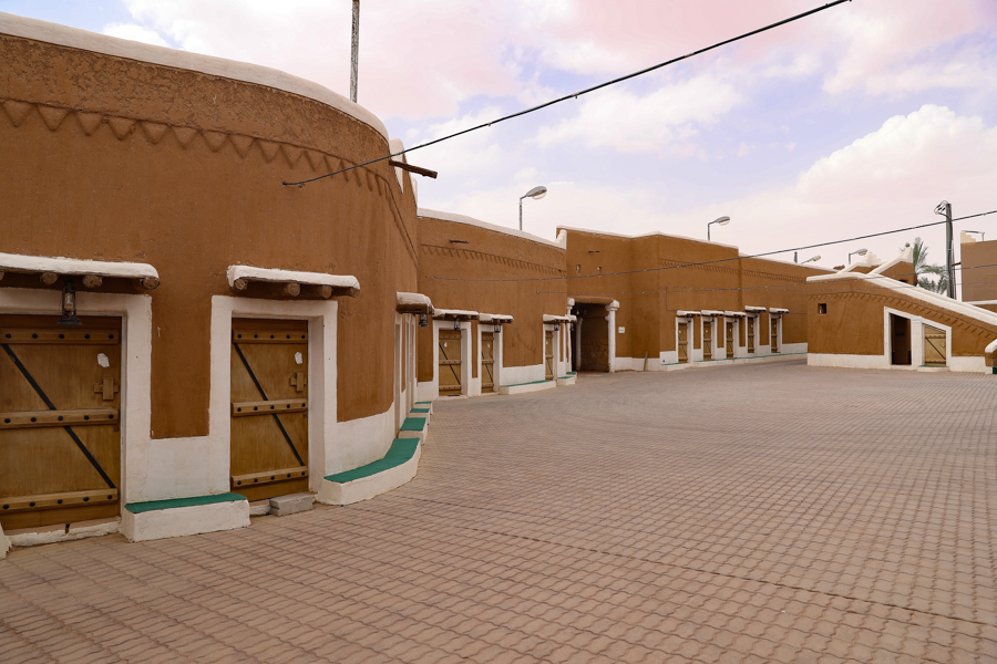 Birds of Saudi Arabia: Shaqra Historical Village – Shaqra