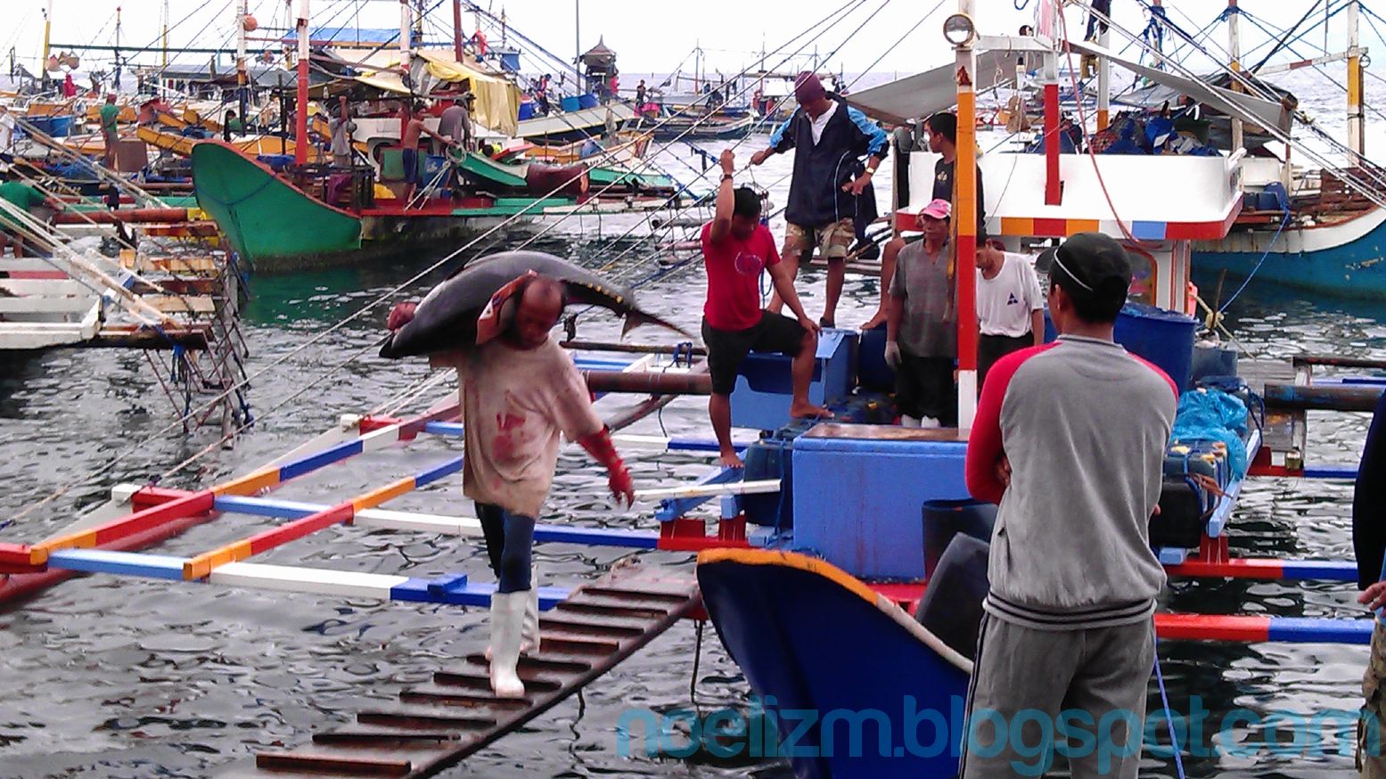 Getting Fishy in GenSan's Tuna Fish Port | Noelizm