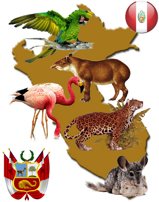 fauna y flora de perú: abril 2016