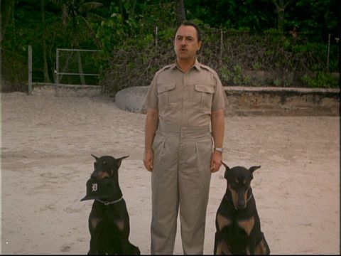 Schepperkiste: Wer ist Robin Masters? Die Wahrheit über Magnum, P.I.