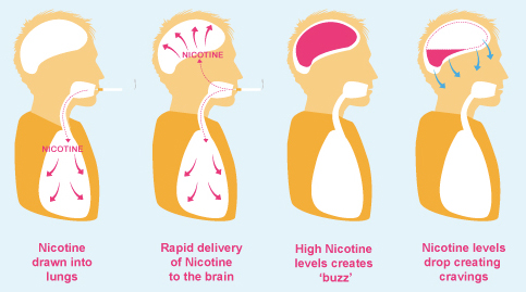 More Brain Points: Nicotine: Eviction of the Addiction