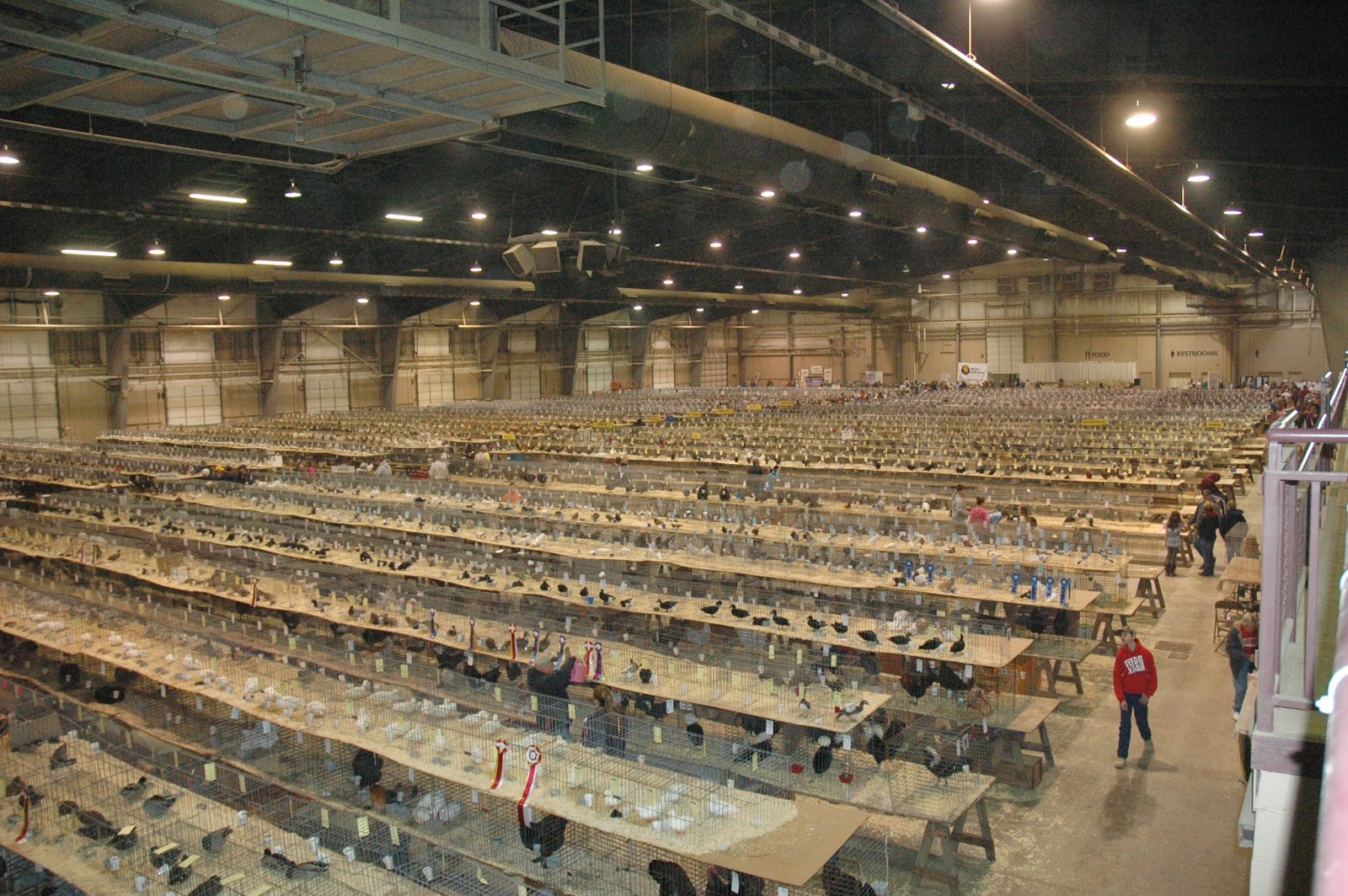 AMERICAN BUCKEYE CLUB: The Buckeye Nation reigns supreme at the Ohio ...