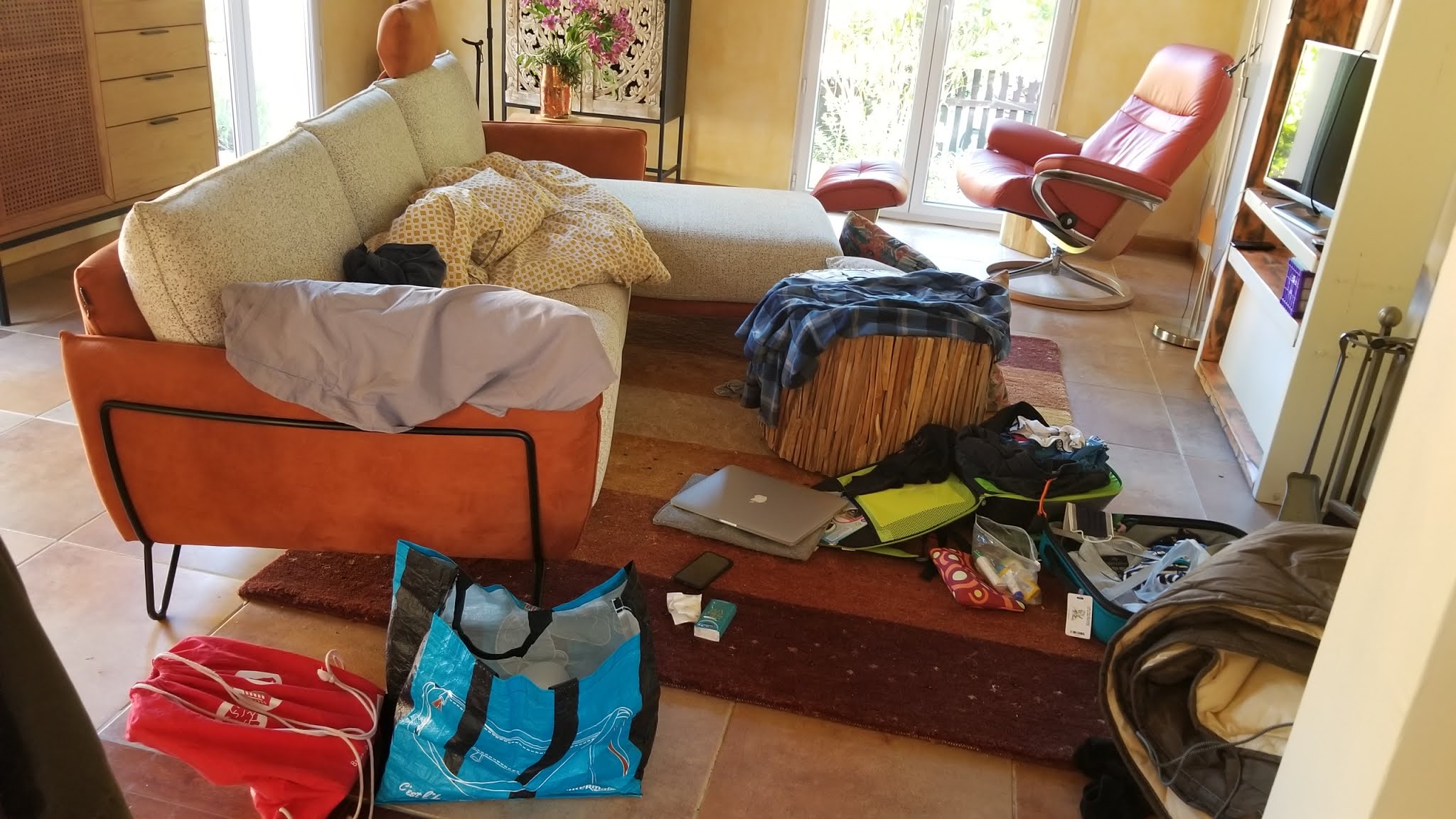 Trisha Ray - Log of a Travel Artist