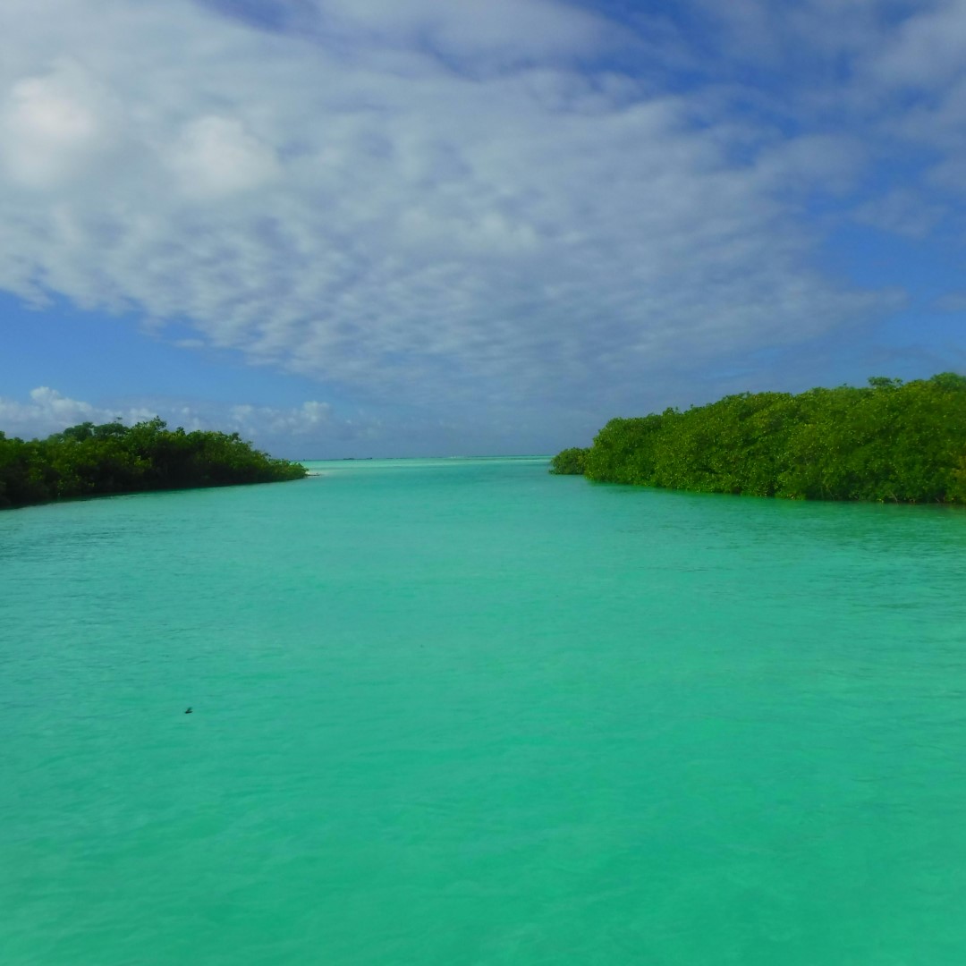 McCraw Sails: Matthew Town, Great Inagua, Bahamas