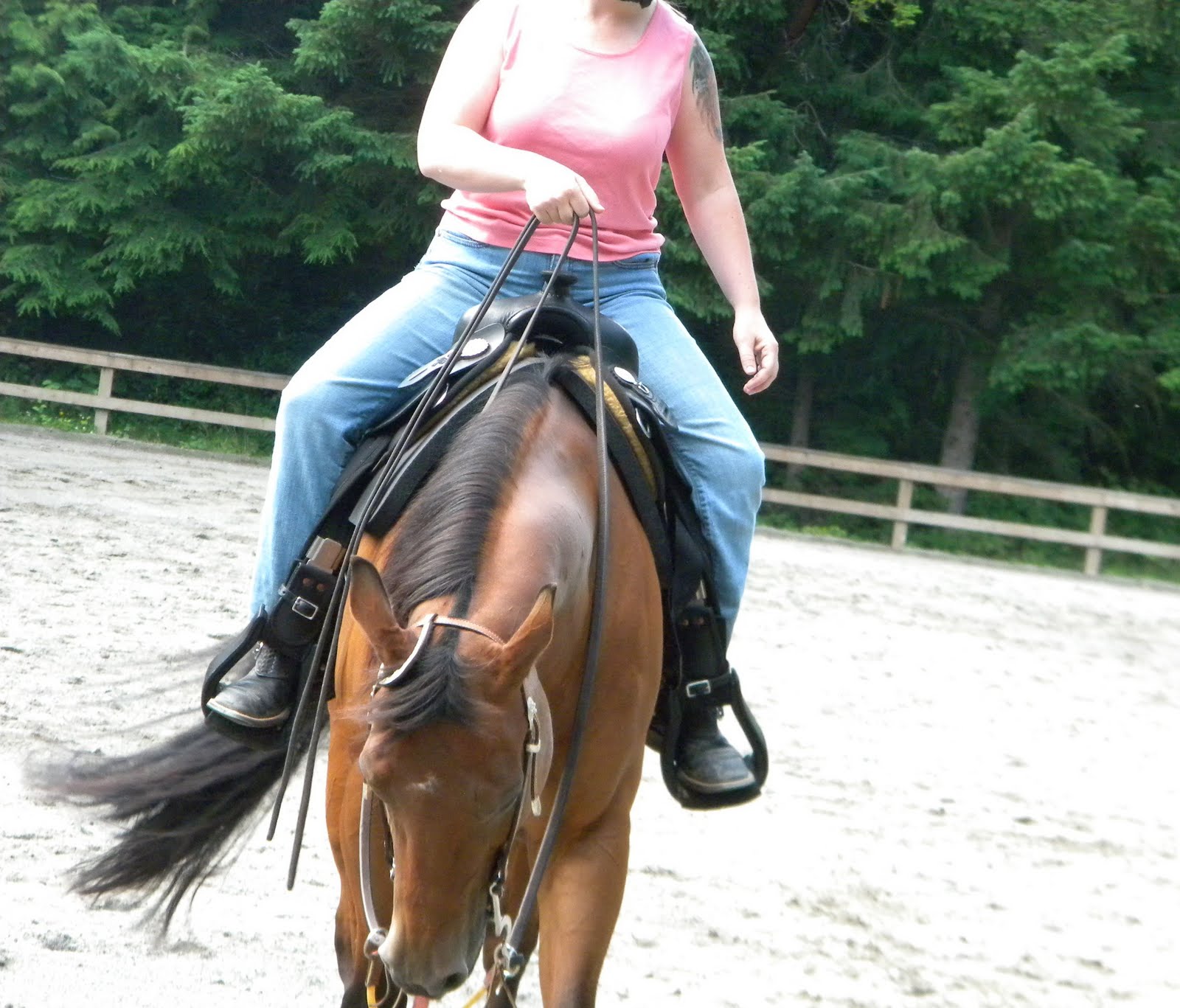 An Image of Grace: Video - Western Riding Pattern 3